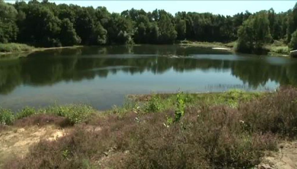 Natur neu erleben in Wachendorf – ems TV