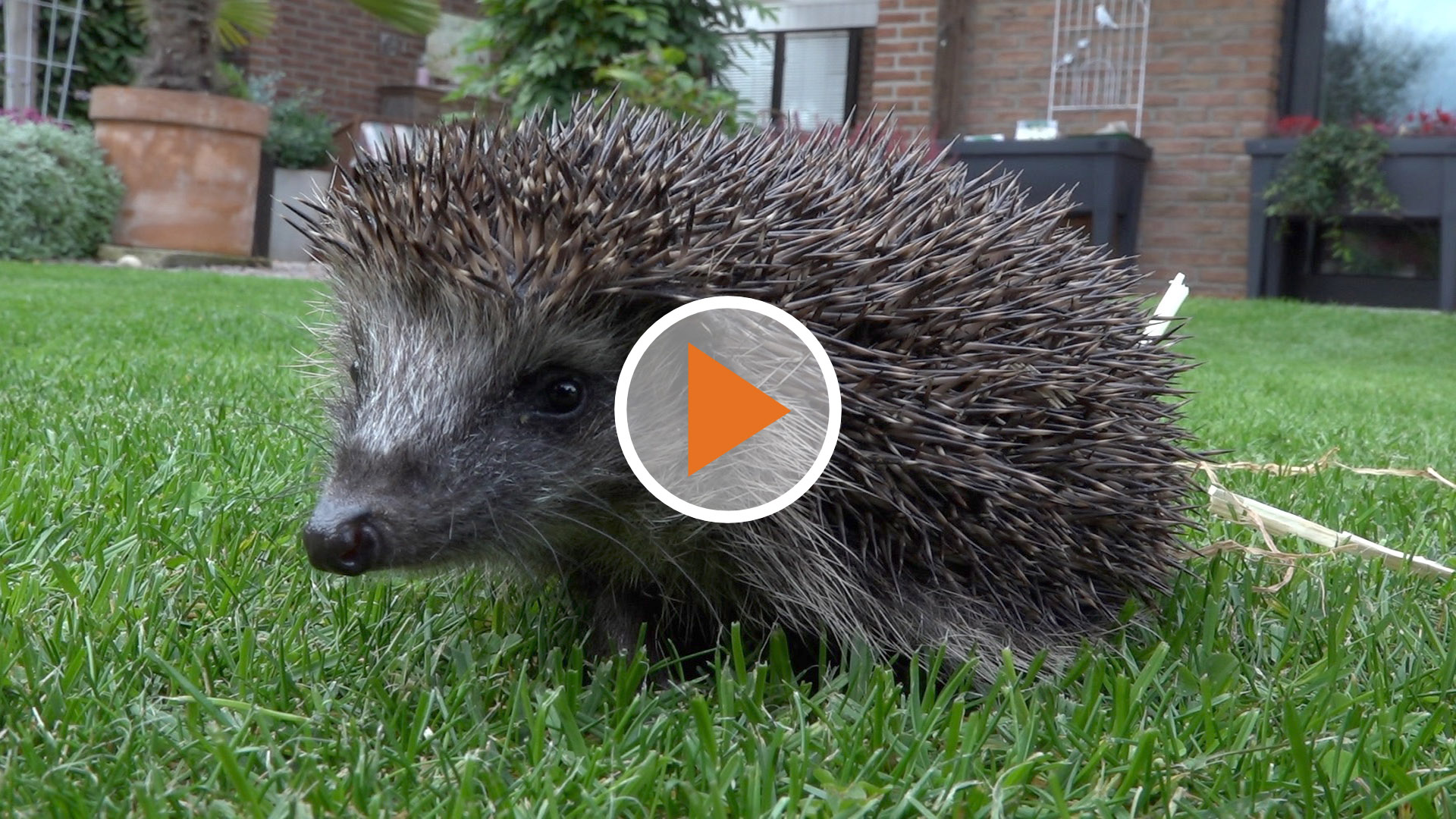 Sicher in den Winter – ems TV